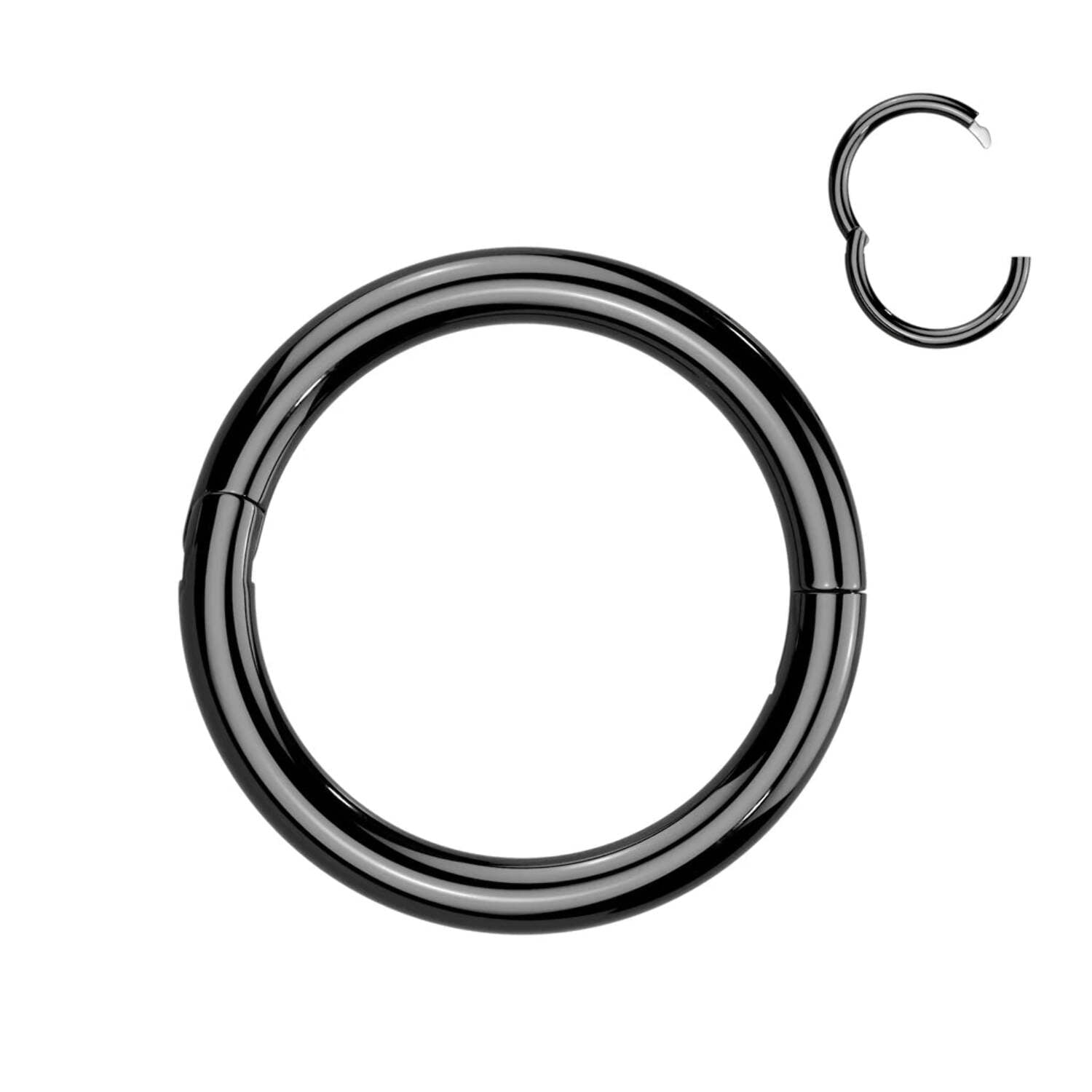 Titanium Hinged Segment Nose Hoop Ring 18 Gauge With New Secure Hook ...