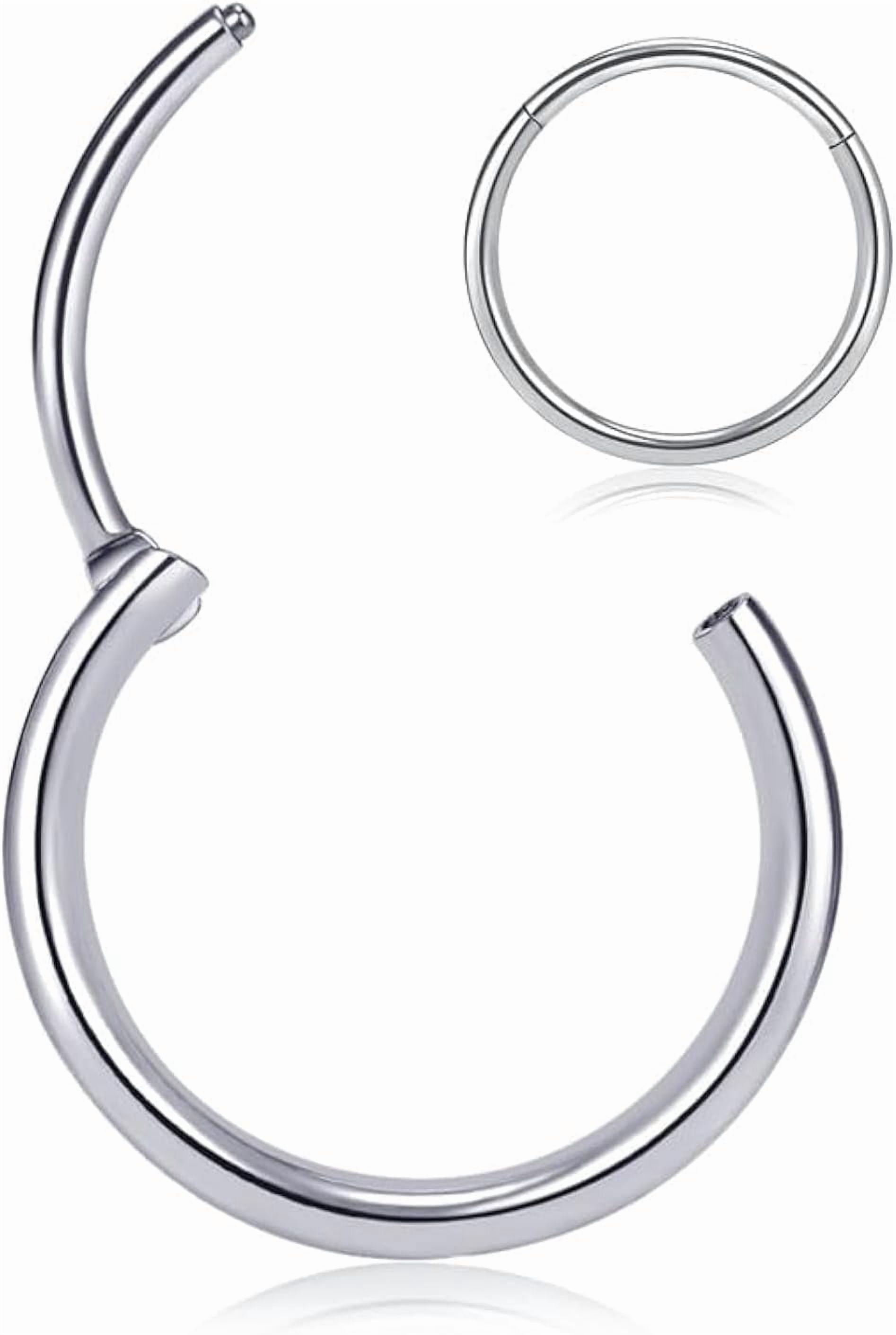 Titanium Nose Rings 20G 18G 16G Nose Rings Hoops Septum Clicker Hinged ...