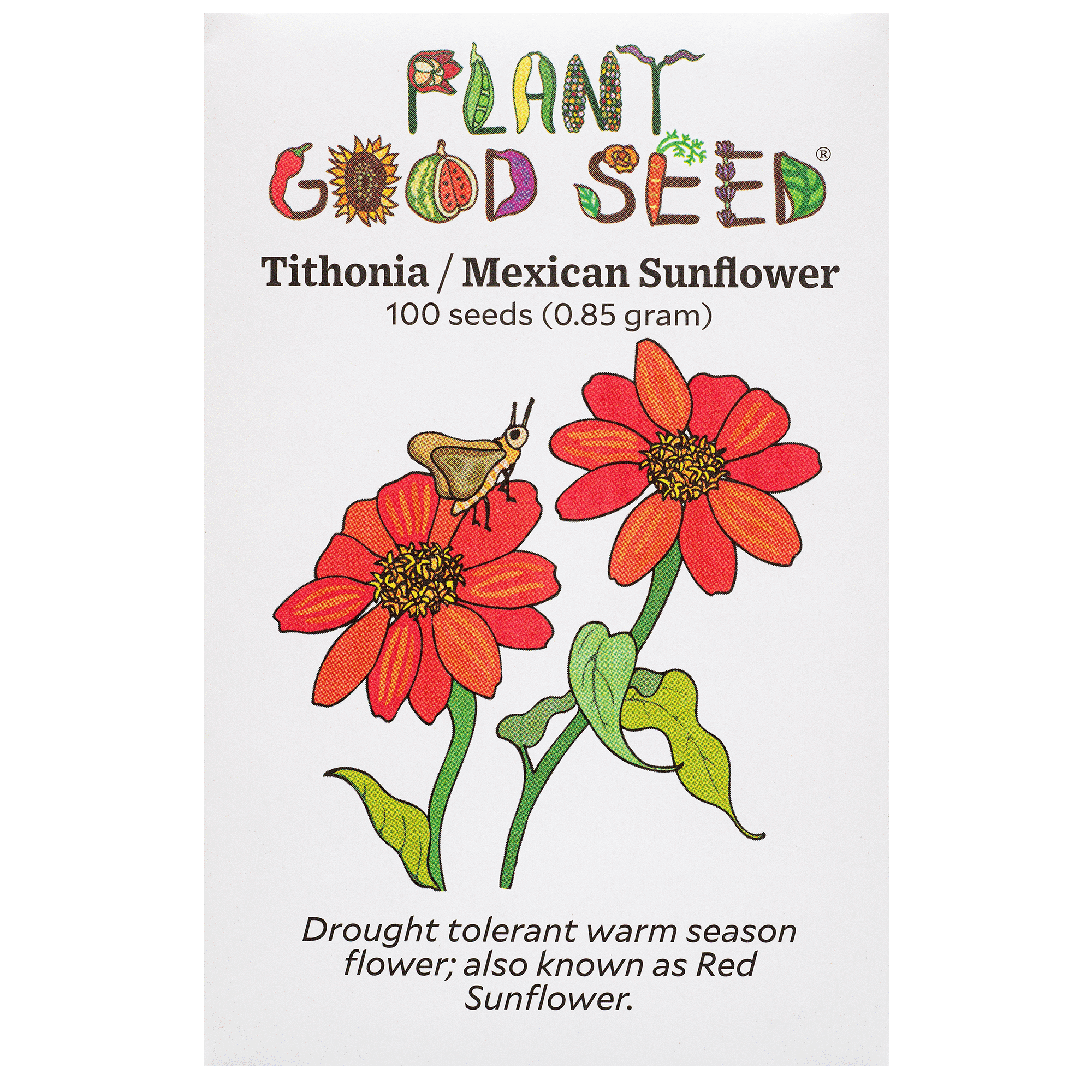 Tithonia / Mexican Sunflower Seeds - Walmart.com