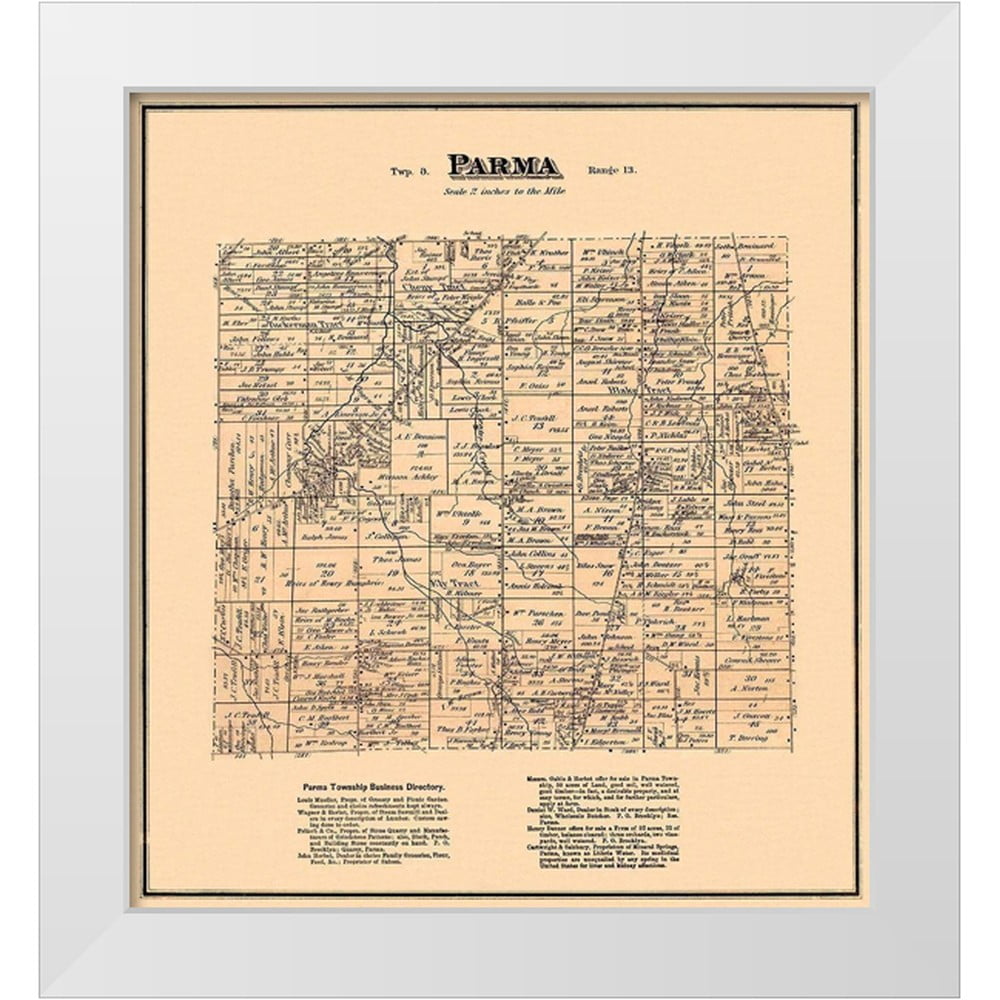 Titus 12x13 White Modern Wood Framed Museum Art Print Titled - Parma ...