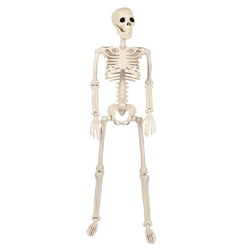 Tizuqe Poseable Halloween Skeleton with Movable Joints Realistic Full ...