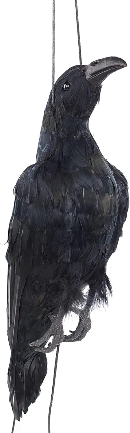Tmosphere Hanging Dead Crow Bird Scarer,17 inch Realistic Hanging Dead ...