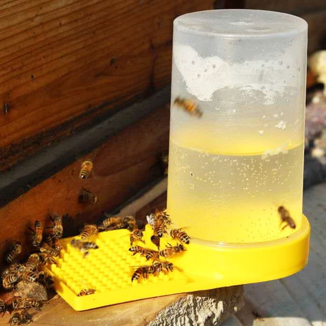 Tnobhg 3Pcs Bee Waterers Transparent Visible Bee Drinking Cups Watering ...
