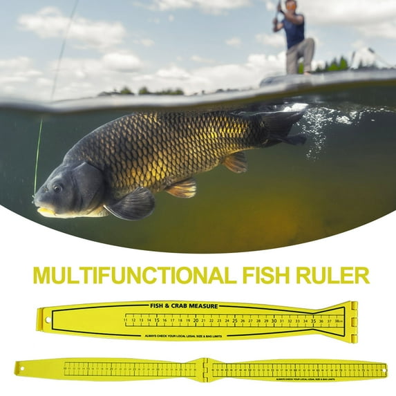 Tnobhg Fish Measuring Board Portable Folding Fishing Ruler Versatile ...