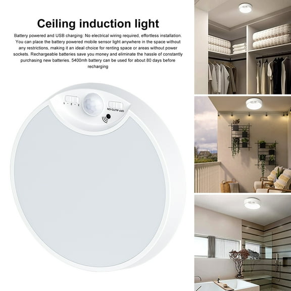 Battery Powered Ceiling Light