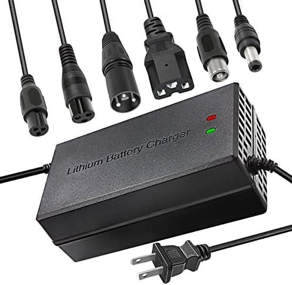 Tnvodejo 67.2V 5A Li ion Battery Charger Multiple Plugs Battery Charger ...