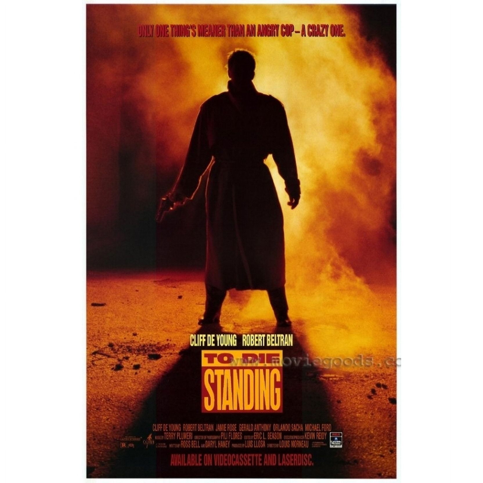 To Die Standing Movie Poster Print (27 x 40) - Walmart.com