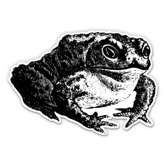 Toad Drawing Sketch - 12" Vinyl Sticker Waterproof Decal - Walmart.com