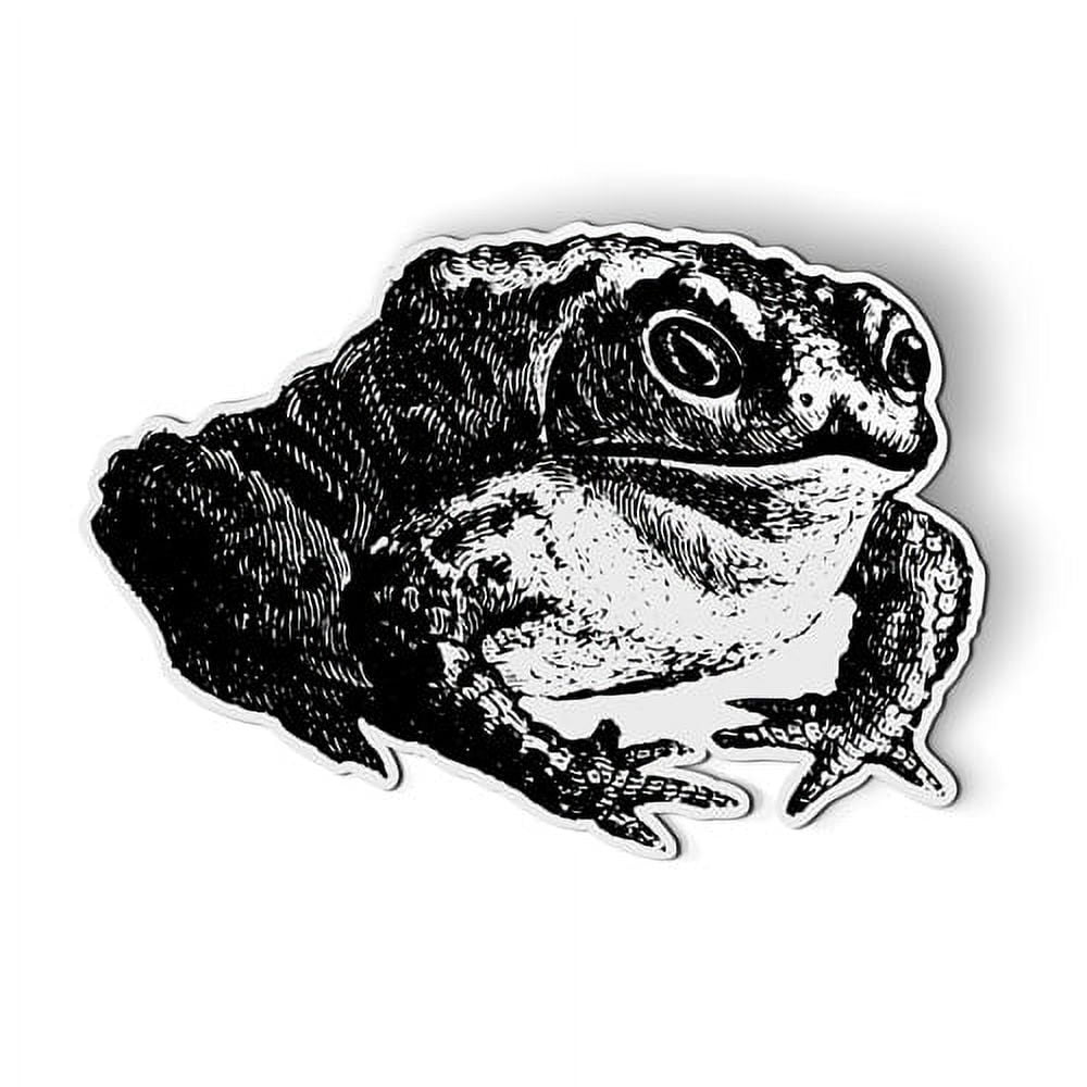 Toad Drawing Sketch - 5" Magnet for Car Locker Refrigerator - Walmart.com