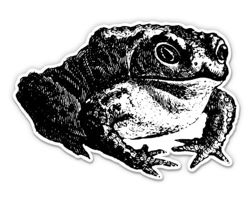 Toad Drawing Sketch - 5" Vinyl Sticker - For Car Laptop I-Pad ...