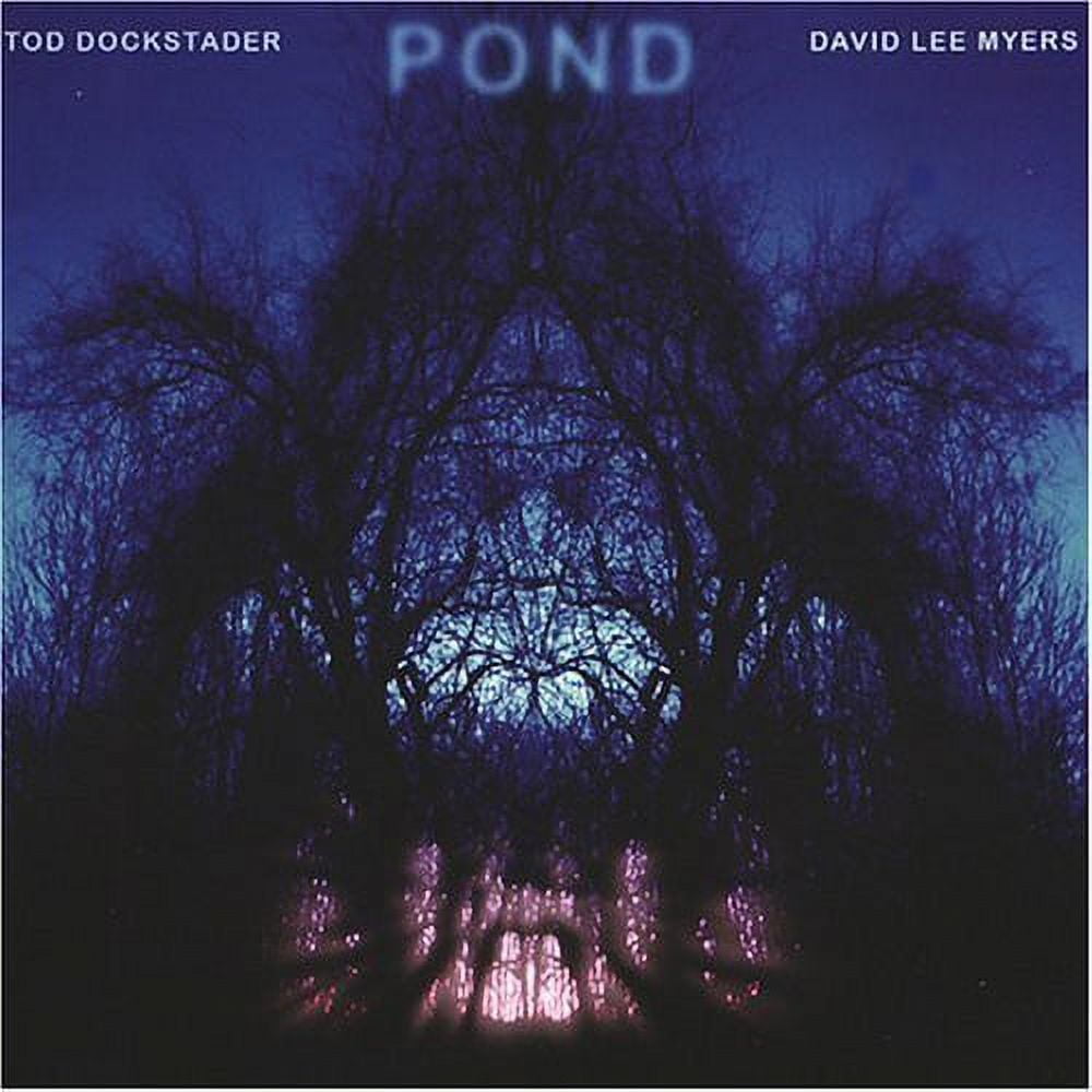 Tod Dockstader - Pond - Electronica - CD - Walmart.com
