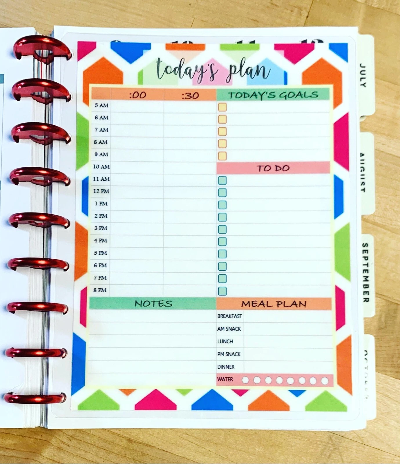 Today'S Plan Two-Sided Laminated Dashboard For Use With A Classic Happy ...