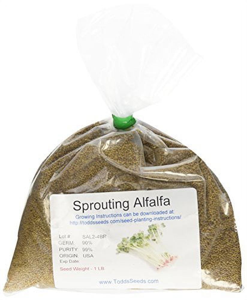 Organic Alfalfa Sprout Seeds - 1 Lb for Salad & Sprouting, Chemical ...