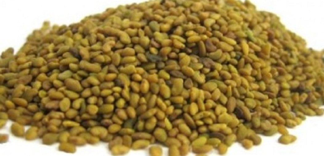 Todd's Seeds AlfalfaUMRT Sprouting Seeds, 2.5 Pounds Bulk Alfalfa Seeds ...