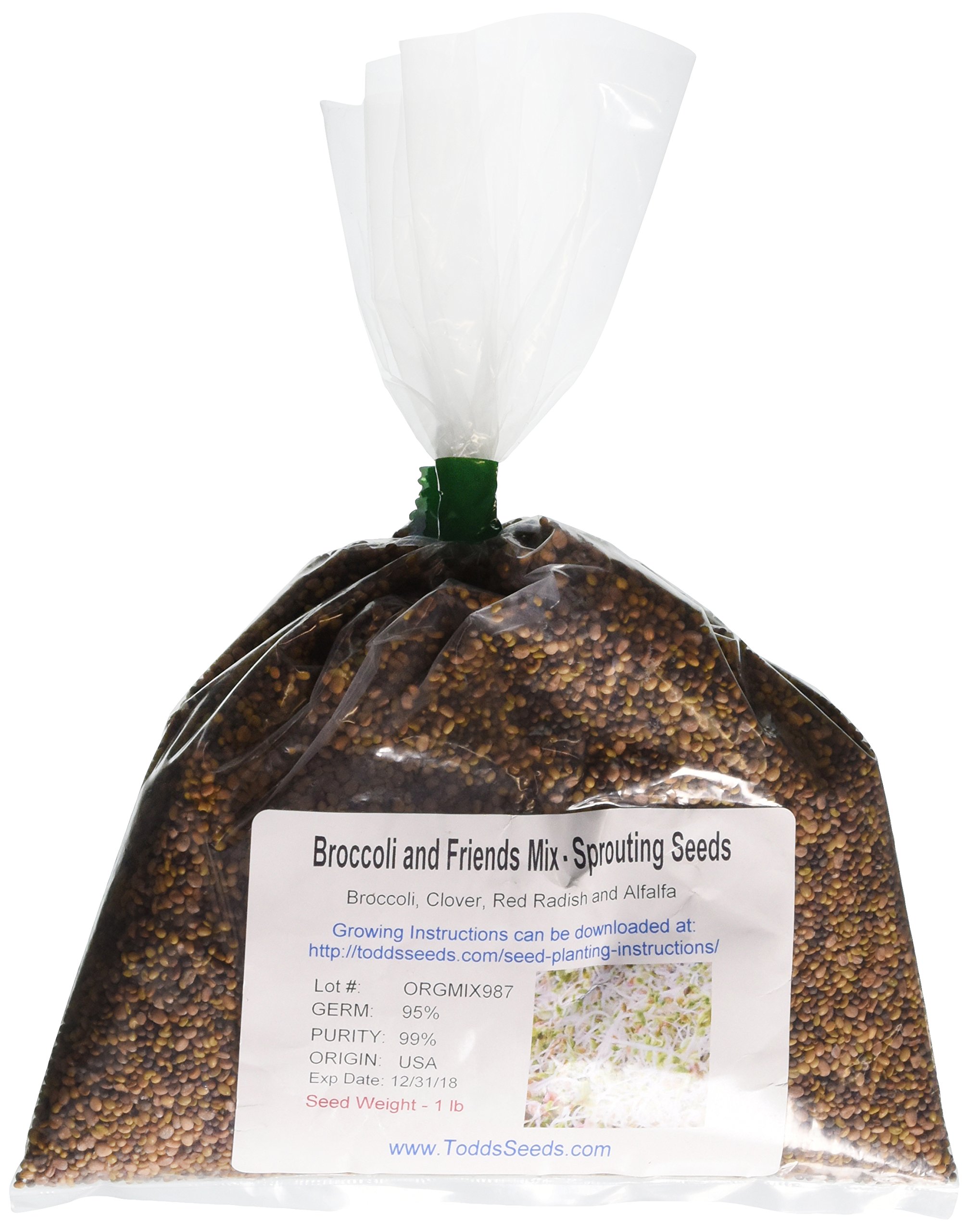 Todd's Seeds® Broccoli TWE5 and Friends Sprouting Seed Mix, One Pound ...