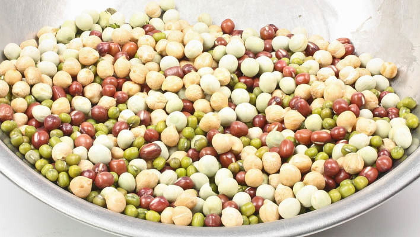 Todd's Seeds - Protein Bean Sprouting Seed Mix - 1 LB - Walmart.com