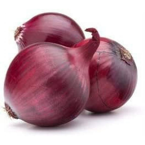 Todd's Seeds Ruby Red Long Day Onion Heirloom Seed - 2g Packet ...