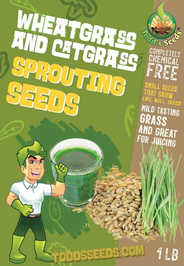 Todd's Seeds Wheatgrass Seeds; MMF7 Hard Red Winter Wheat, Non-GMO, Chemical Free, High ...