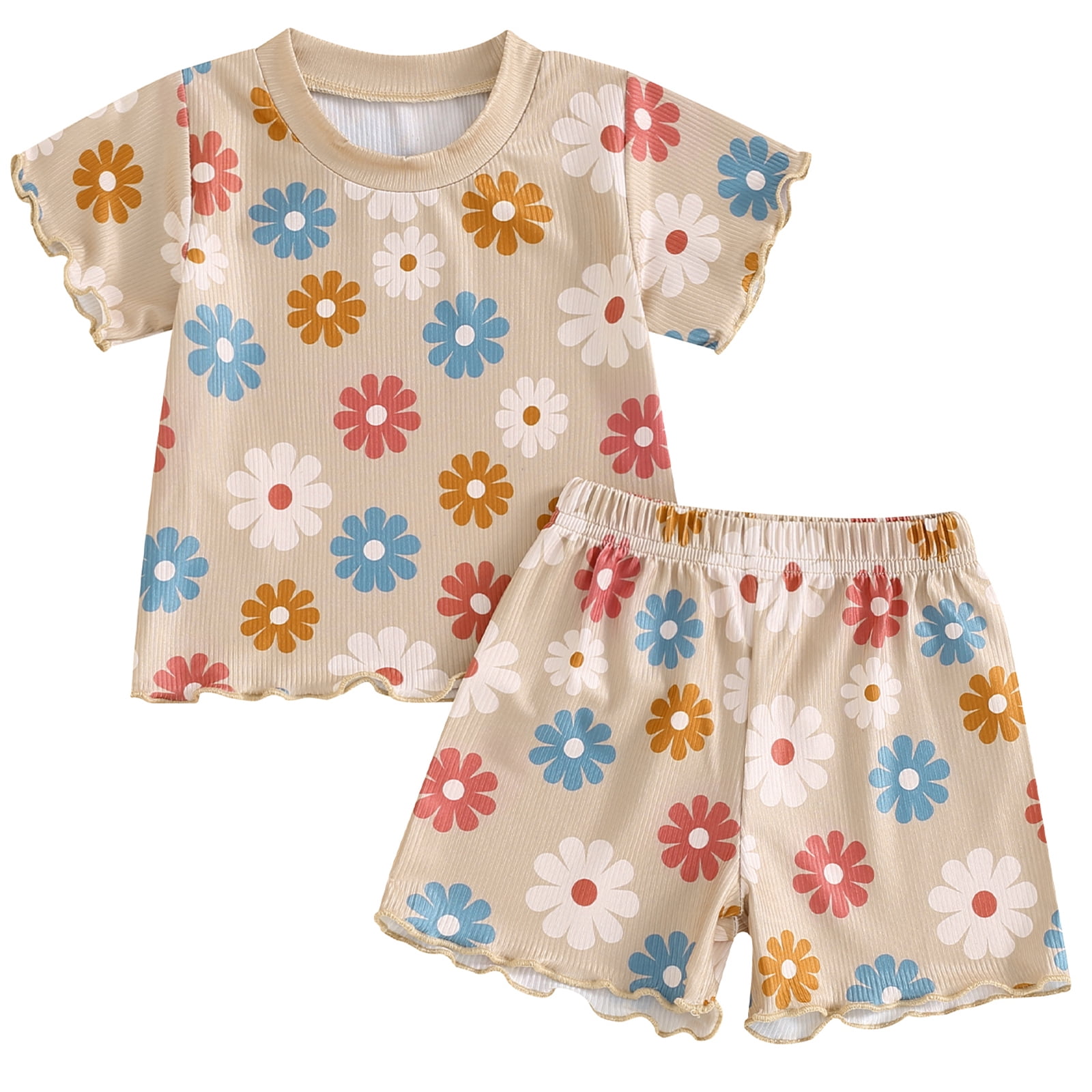 Toddler Baby Girls Summer Outfits Floral Print Short Sleeve Tops Shorts ...