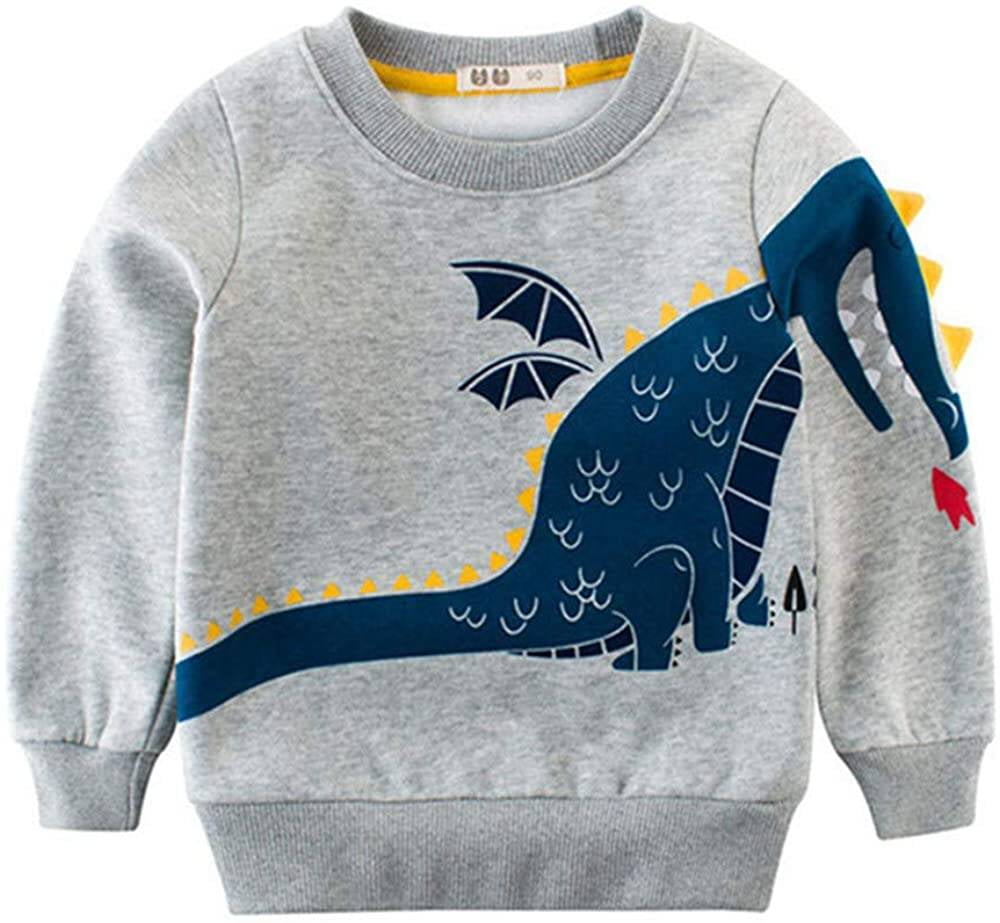 Toddler Boy Cotton Pullover Sweatshirt Kids Dinosaur Print Clothes 2T Dino (006) - Walmart.com