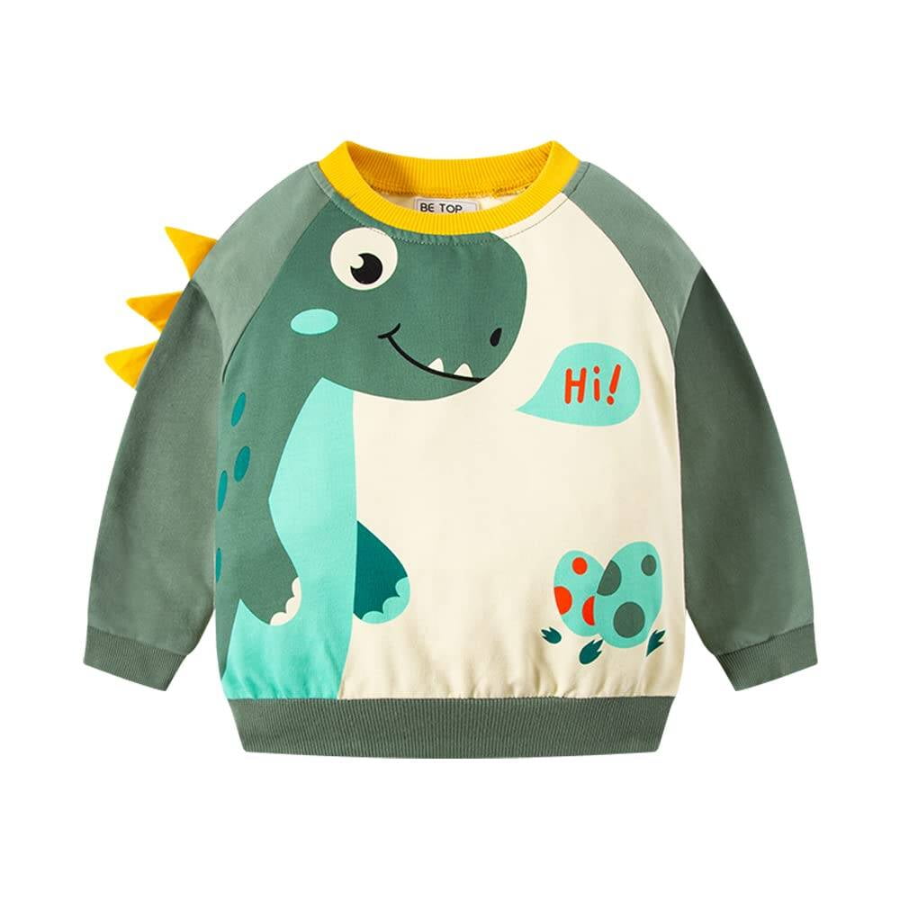 Toddler Boys Clothes Lightweight Cute Dinosaur Print Sweatshirt ...