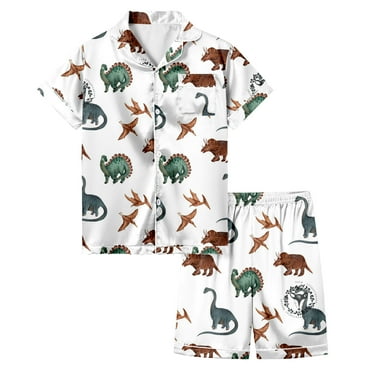 SJLDQY Toddler Baby Boy Pajama Set Long Sleeve Pajamas Pants Pjs Cartoon Dinosaur Print 2Pcs ...