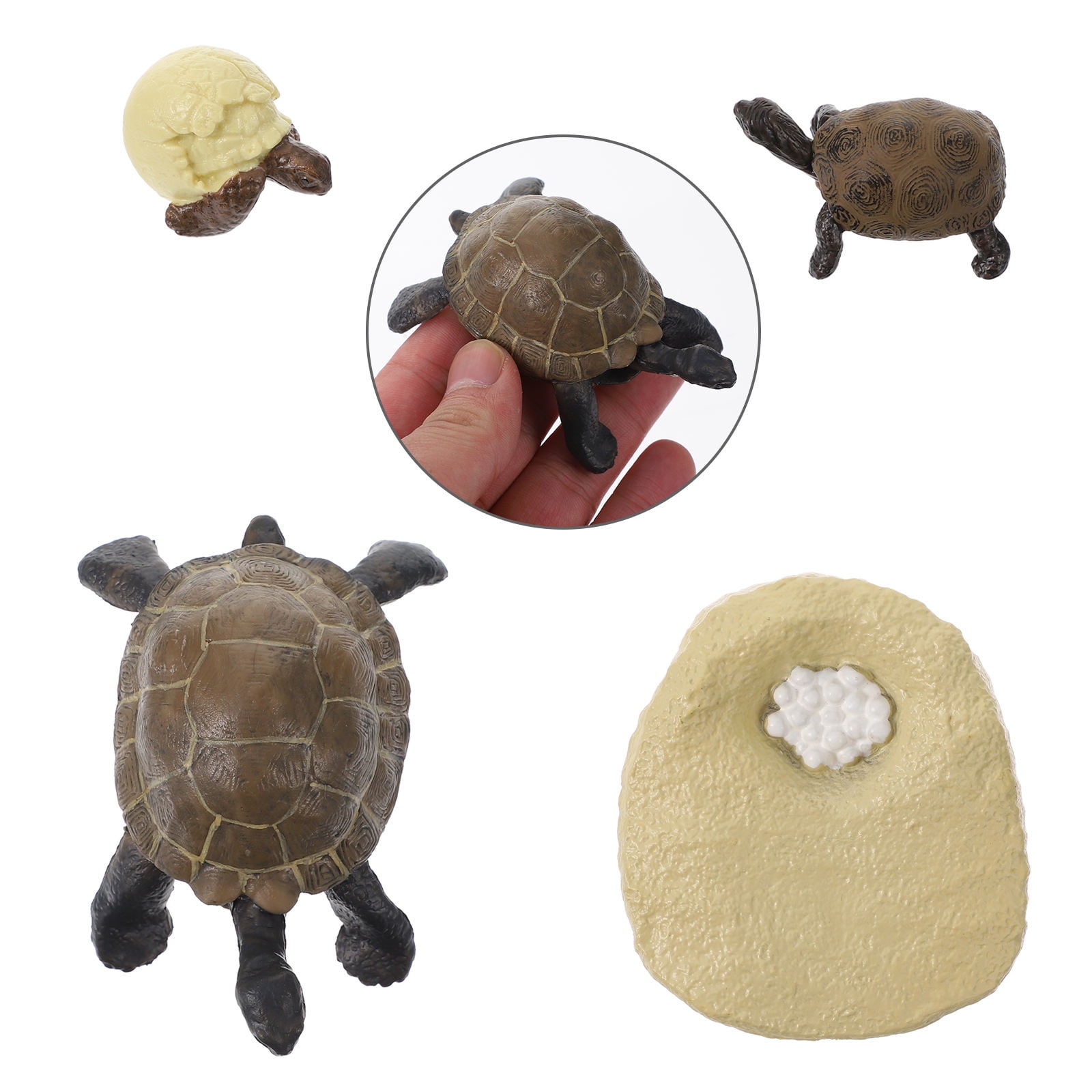 Toddmomy 1 Set Animal Growth Stage Models Simulation Turtle Toy ...