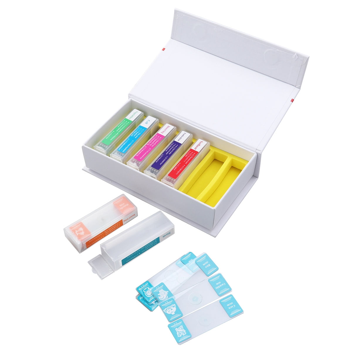 Toddmomy 35PCS Microscopic Slide Specimens Glass Rectangular for ...