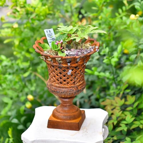 Sungmor Heavy Duty Cast Iron Urn Planter, Beautiful Hollow Trophy ...