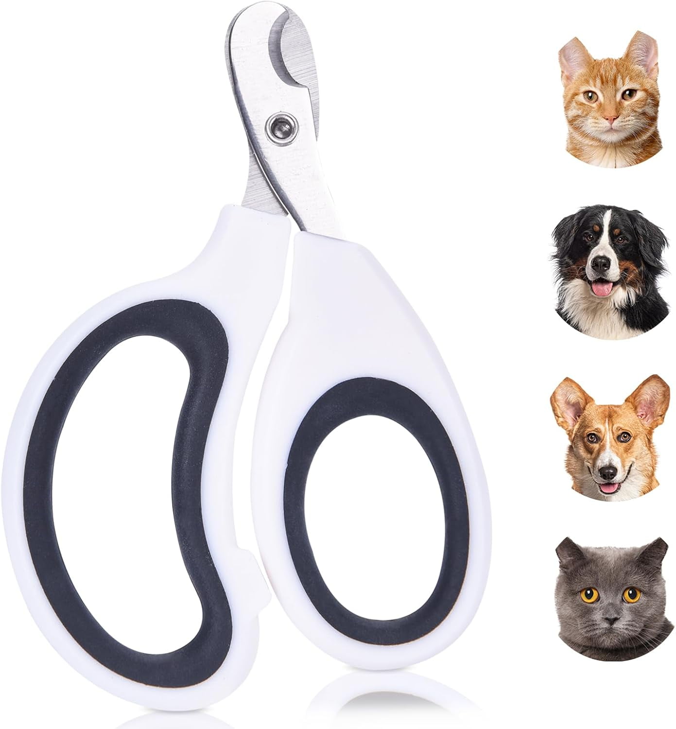 Toenail Clippers, Best for Cats, Small Dogs and Any Small Pets. Sharp ...