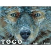 Dog Diaries Togo, Book 04, (Paperback) - Walmart.com