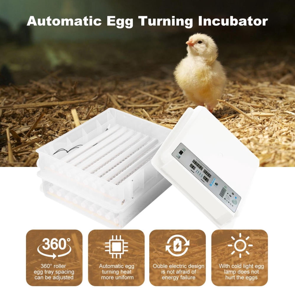 Tohu 12V/110V Double Powers 5 Modes Egg Hatcher, 90-Minute Auto ...