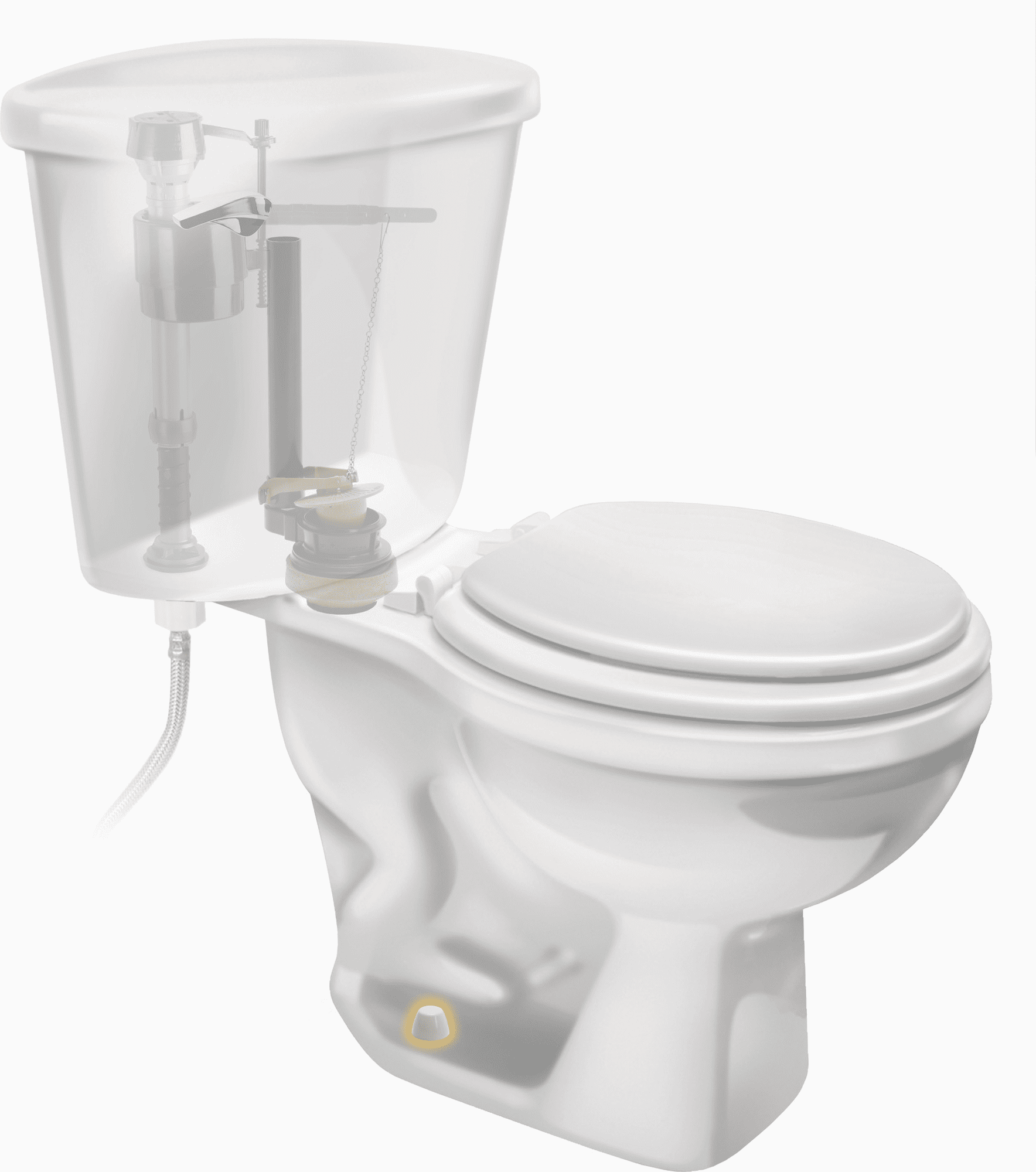 Toilet Bolt Caps - Pack of 12 — Construction & DIY Use, Standard ...