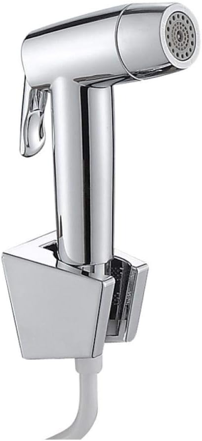 Toilet Hand HeldSprayer -Set electroplated pressurized Toilet Companion ...