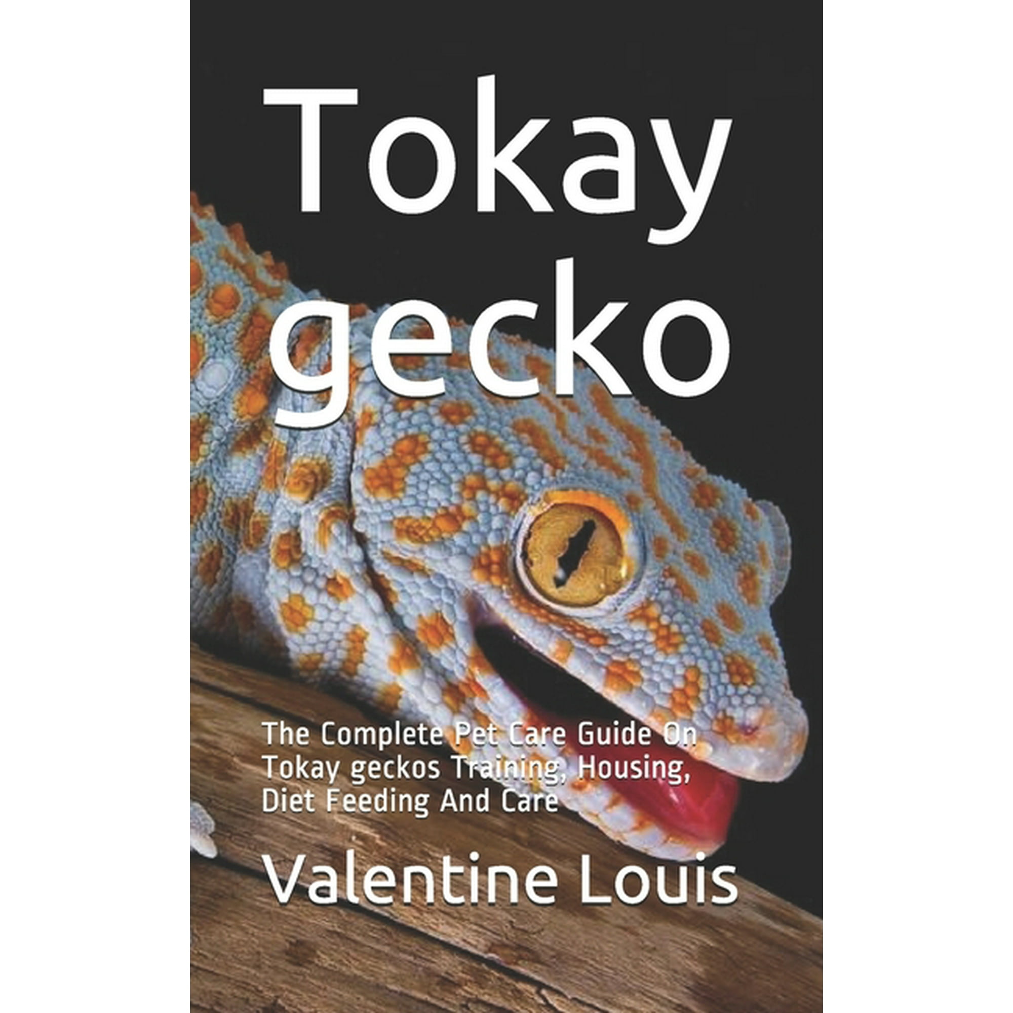 Tokay Gecko Care