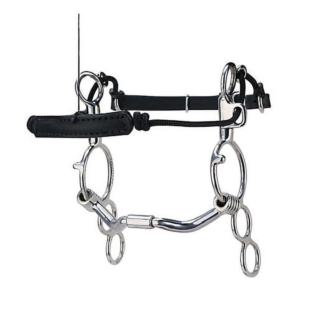 Toklat Myler 3 Ring Combination Bit 5 1/2" Shank W/ Sweet Iron Ported ...