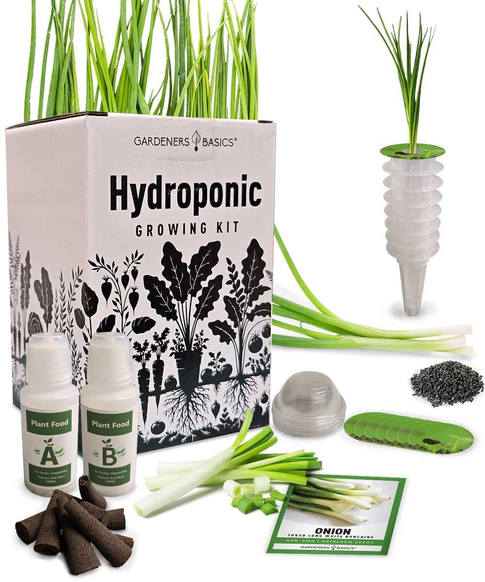 Tokyo Long White Bunching Green Onion AIS1 Hydroponic Growing Grow ...