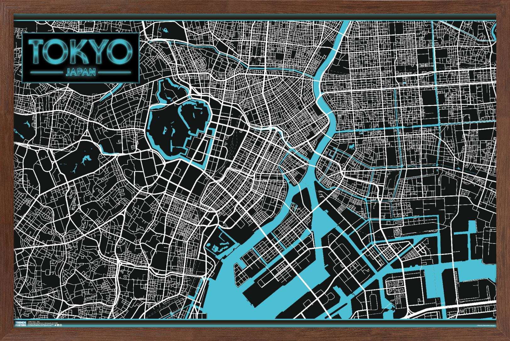 Tokyo - Map Wall Poster, 22.375" x 34", Framed - Walmart.com