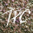 Tokyo Police Club - Tpc - Music & Performance - Vinyl - Walmart.com