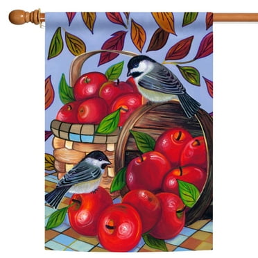 Toland Home Garden Autumn Farm Fall Flag Double Sided 12x18 Inch ...