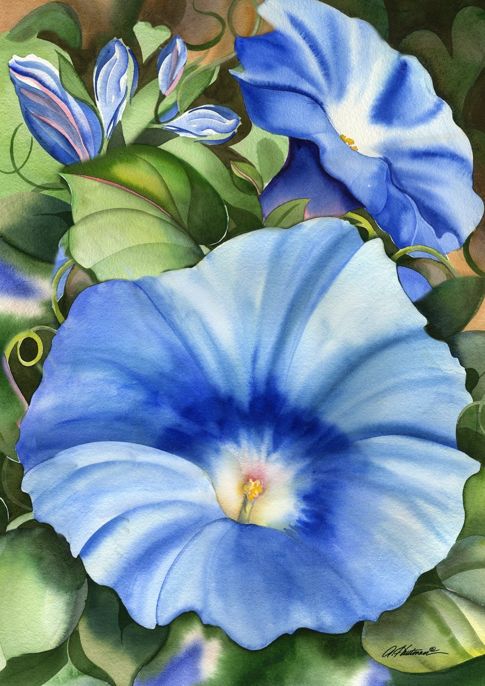 Toland Home Garden Big Blue Flower Flag Double Sided 28x40 Inch ...