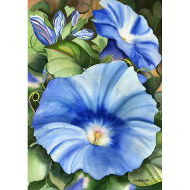 Toland Home Garden Precious Peacocks Bird Flag Double Sided 28x40 Inch ...