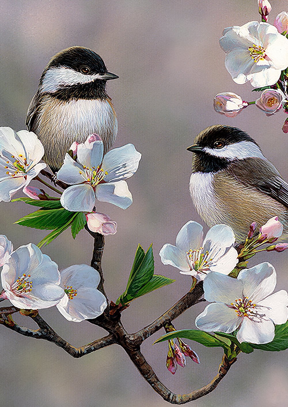 Toland Home Garden Birds and Blossoms Bird Flag Double Sided 28x40 Inch ...