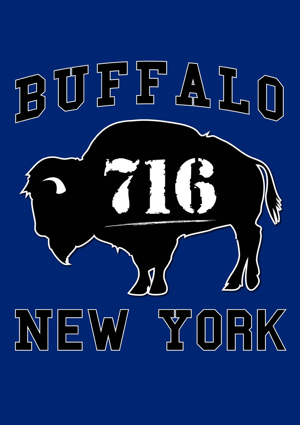 Toland Home Garden Buffalo 716 House Flag - Walmart.com