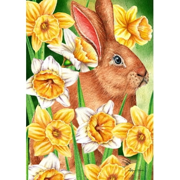 Toland Home Garden Bunny Poppies Spring Easter Flag Double Sided 12x18 ...