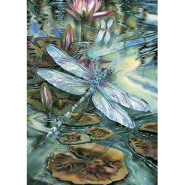 Toland Home Garden Shamrock Rainbow St Pats St Patricks Day Flag Double ...