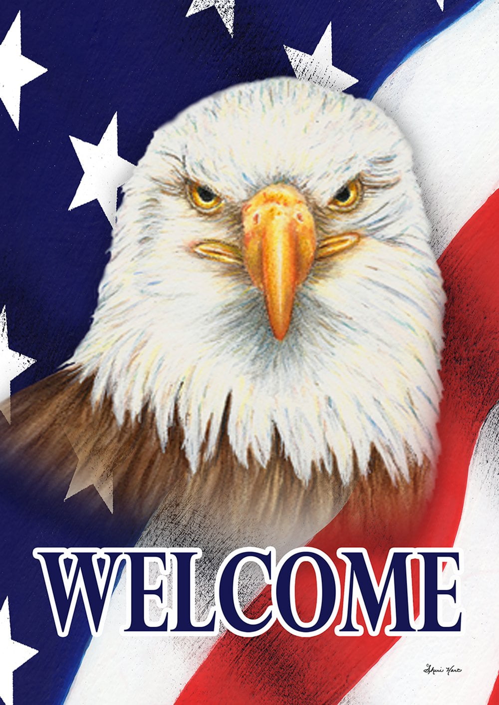 Toland Home Garden Eagle Welcome Bald Eagle Patriotic Flag Double Sided 12x18 Inch - Walmart.com