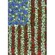 Toland Home Garden Fabulous Flowers summer Spring Flag Double Sided ...