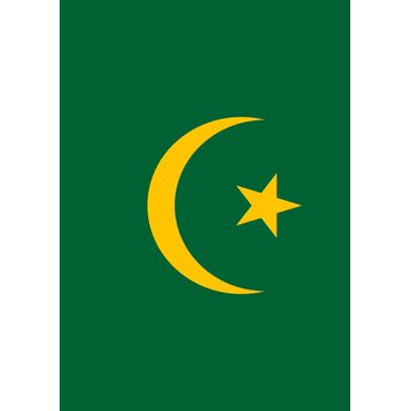 Toland Home Garden Patriotic Welcome Flower Patriotic Flag Double Sided ...