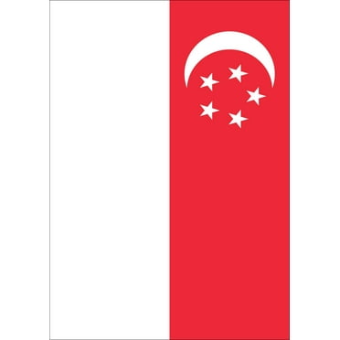 Toland Home Garden Flight of the Witch Bat Happy Halloween Flag Double ...